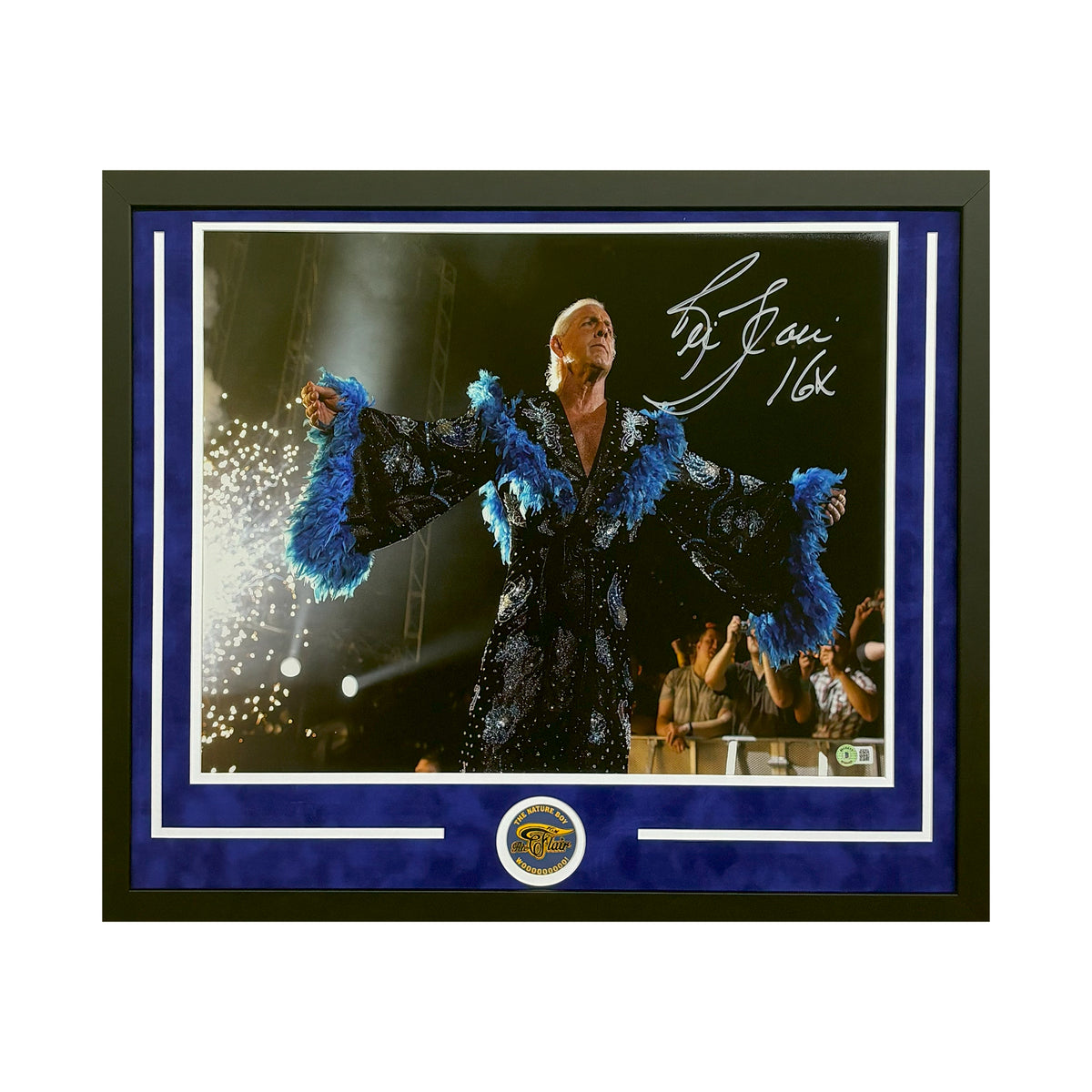 Ric Flair Hand Signed & Framed WWE 16x20 Wrestling Photo — RSA